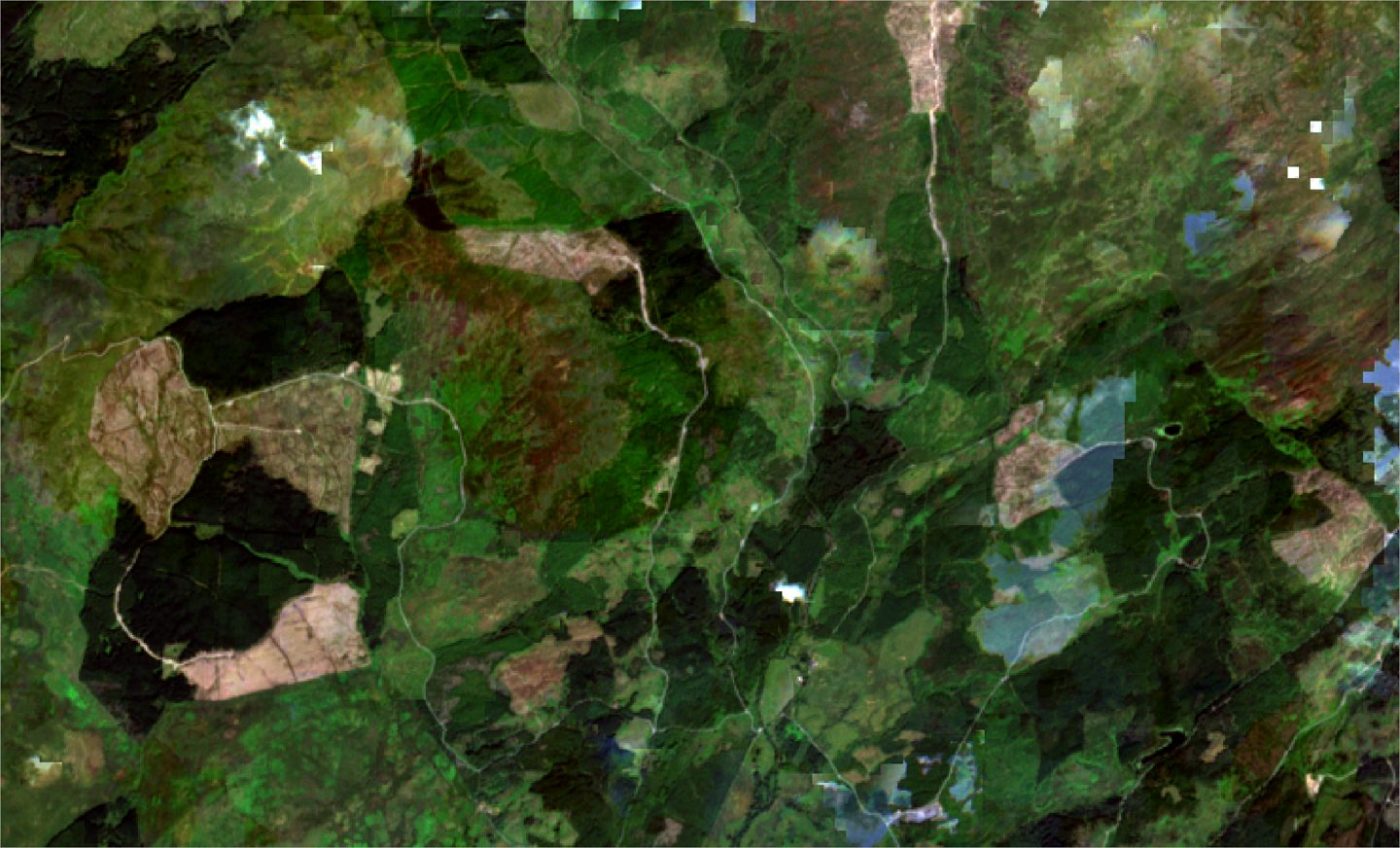 Remote Sensing - Forest Research